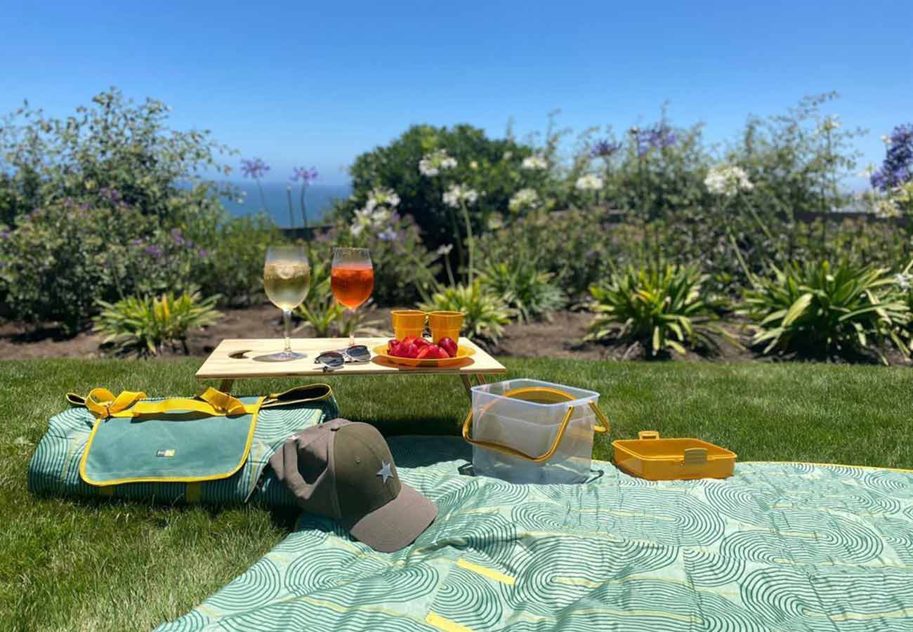 ¿Cómo hacer un picnic? ¡Aquí algunos tips para organizarte! – Chill ...